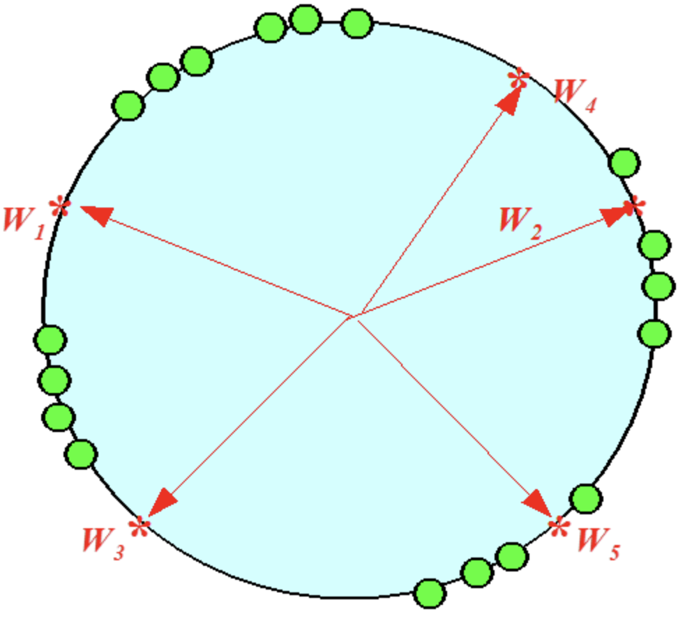 自组织映射神经网络（SOM）-CSDN博客