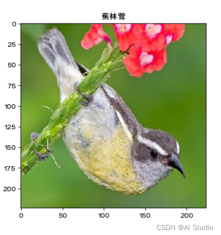 Xception算法解析-鸟类识别实战-Paddle实战_xception模型-CSDN博客