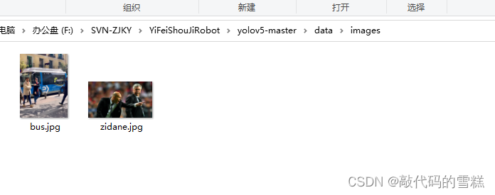 win10系统下Yolov5目标检测环境搭建（Anaconda3+Pytorch+Yolov5，CPU，无GPU）_yolov5没有gpu-CSDN博客