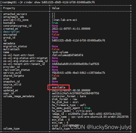 实例删除后volume仍然为in-use解决方法_volume is in use-CSDN博客