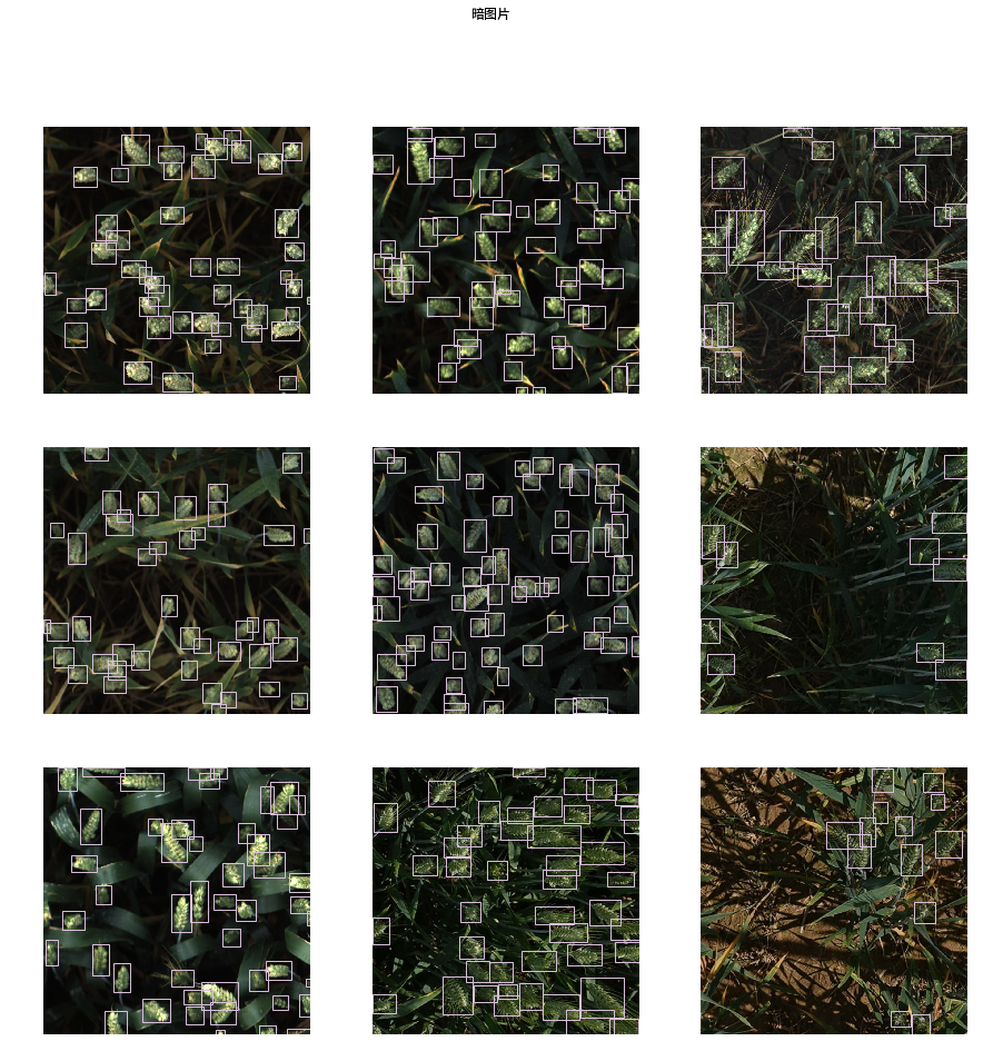 COCO数据集目标检测任务EDA模板_对目标检测label进行eda-CSDN博客