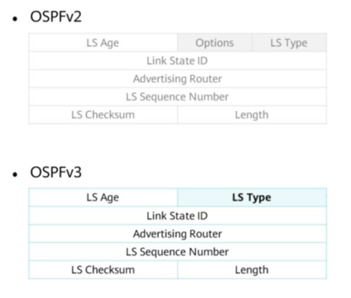 OSPFv3报文讲解（与OSPFv2的区别）_ospfv2和ospfv3认证区别-CSDN博客