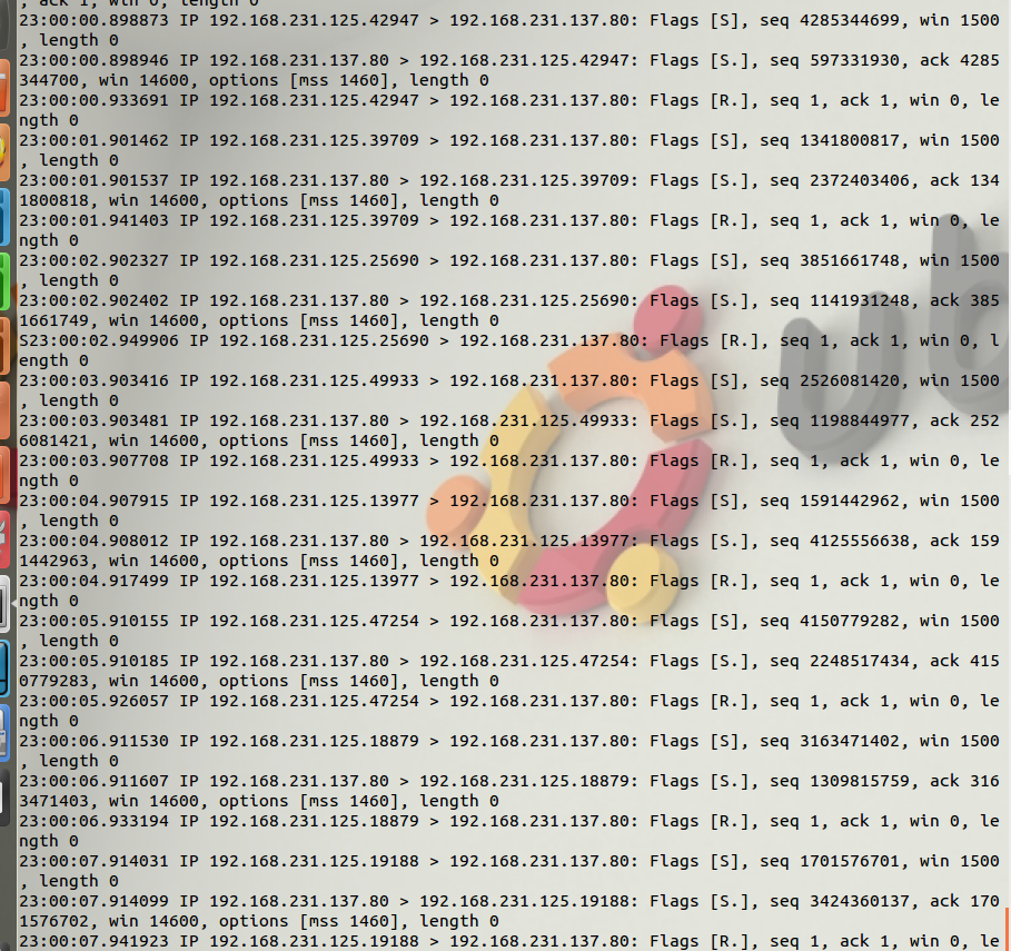 从入门到入土：IP源地址欺骗dos攻击实验_netwox地址欺骗-CSDN博客