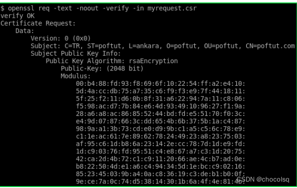 如何使用OpenSSL读取RSA、X509和PKCS12证书？_openssl pkcs12-CSDN博客