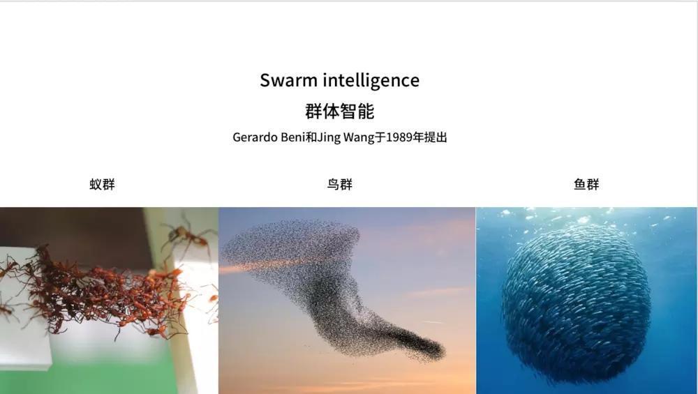 多智能体寻径MAPF-CSDN博客