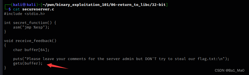 PWN入门（7）NX enabled与返回LibC库-CSDN博客