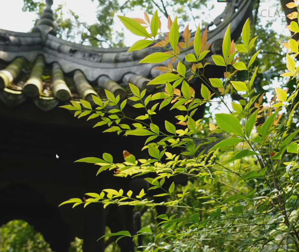 《空山》七_ior贴图-CSDN博客