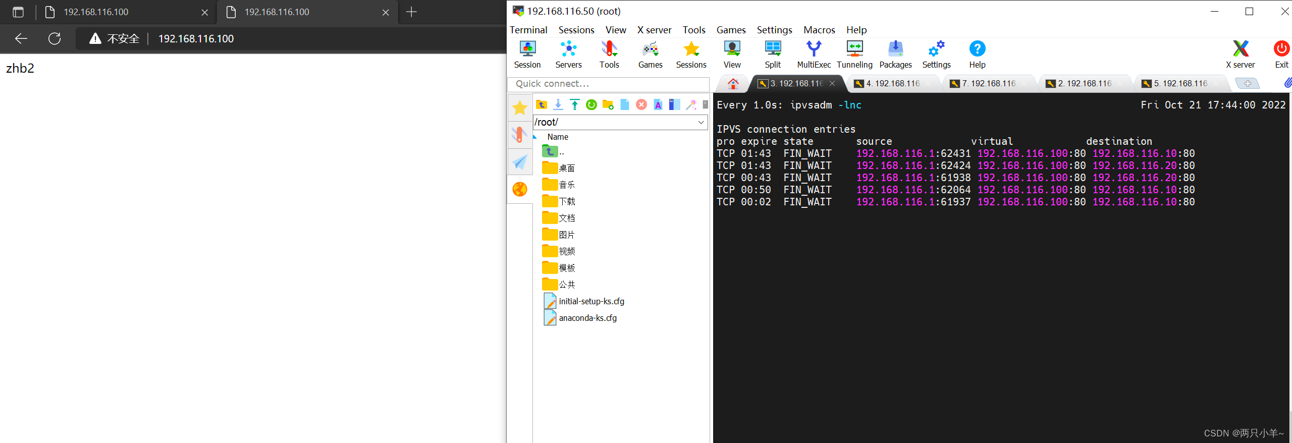 LVS+Keepalived+nfs 集群_lvs nfs-CSDN博客