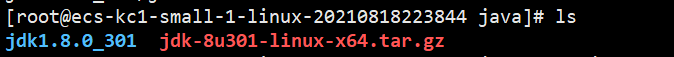 【报错分析】Linux系统中JDK报错 -bash: ./java: cannot execute binary file: Exec format error-CSDN博客