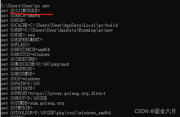 Golang go语言SDK安装与环境配置_go sdk-CSDN博客