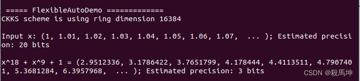 CKKS 精度测试（openFHE和Tenseal库）-CSDN博客