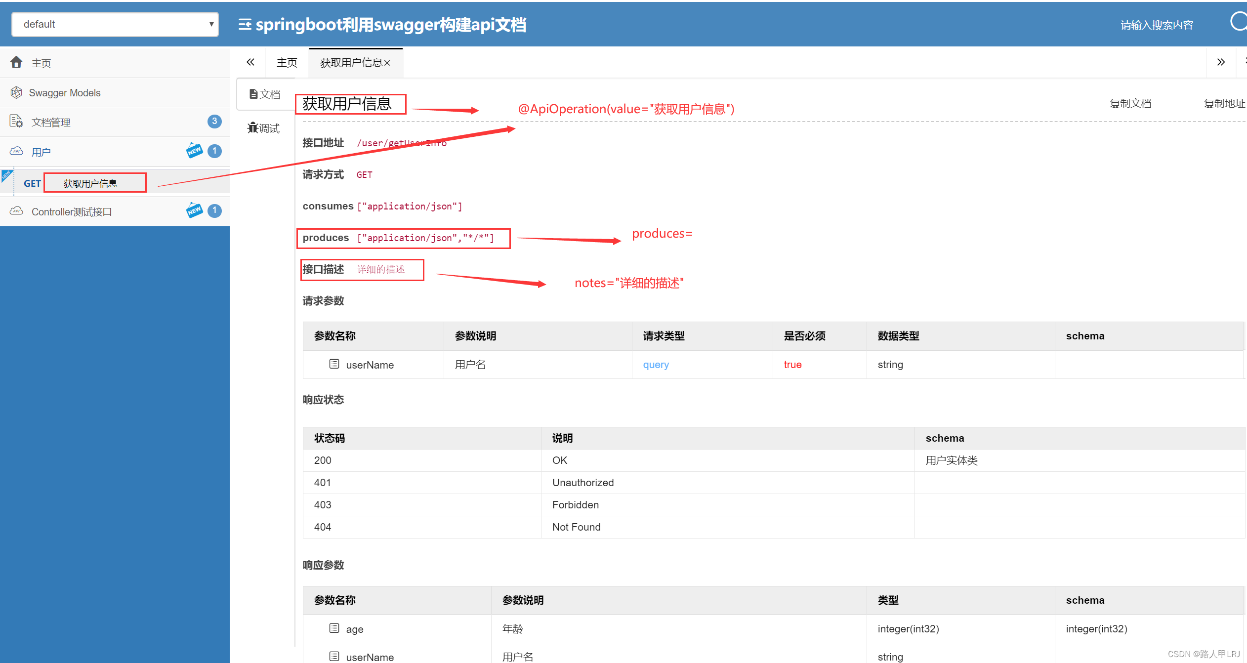 Swagger的简单使用swagger标签 Csdn博客