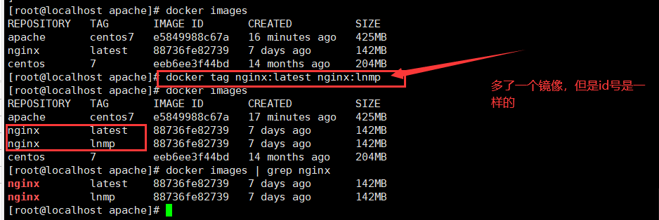Docker镜像和容器的基本命令操作_docker下载镜像命令-CSDN博客