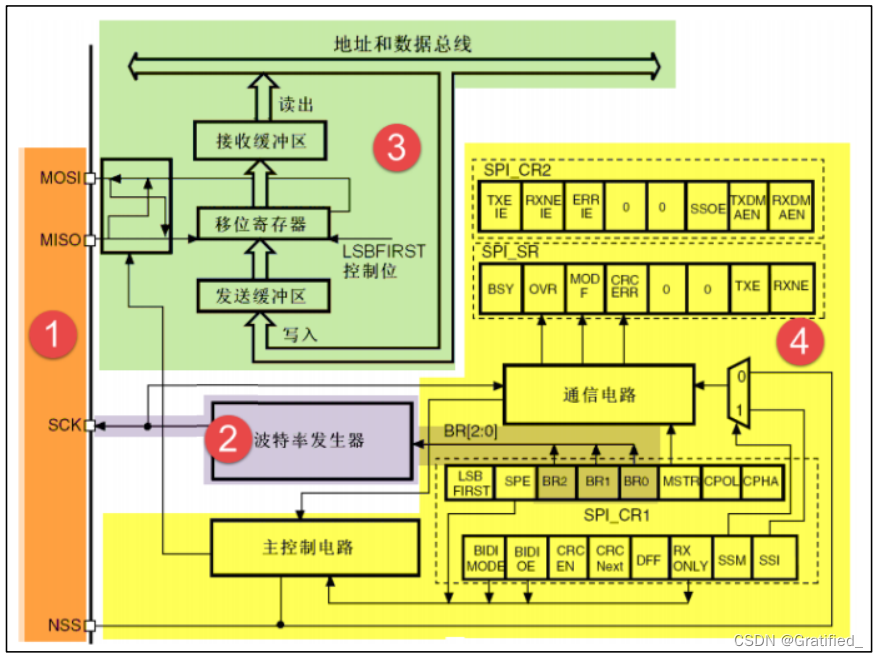 Stm32学习笔记10(spi)stm32 Spi时钟 Csdn博客