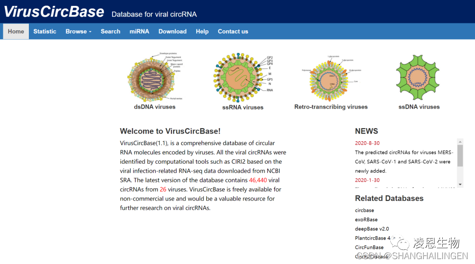 数据库 | VirusCircBase：环状 RNA病毒数据库_circbase数据库-CSDN博客