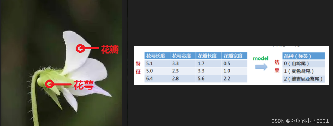 基于机器学习的鸢尾花数据集的三分类算法的实现 C 忆云竹 
