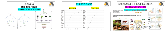 R语言生物群落（生态）数据统计分析与绘图r语言多元数据统计分析在生态环境中的应用mentaltest相关分析图解析 Csdn博客