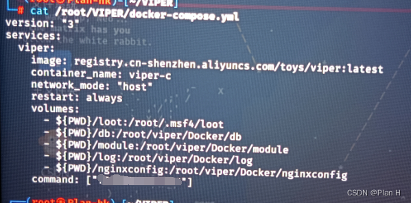 kali安装Viper和docker （本人亲测，一遍就过）-CSDN博客