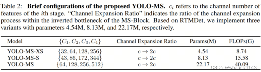 YOLO-MS_yolo-ms发表在哪里-CSDN博客