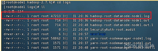 Hadoop小知识:datanode没有启动的原因和解决方法(同浏览器输入master:50070后不显示node节点问题) Master