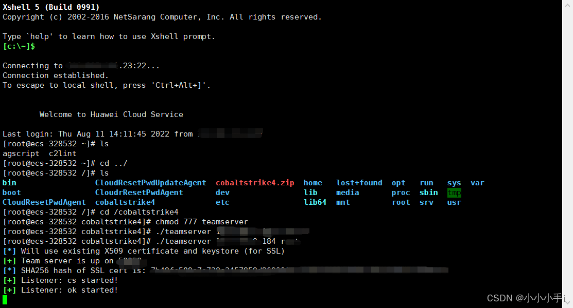 简易的CS出网_cs要设出口ip吗-CSDN博客