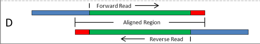 转录组分析中Trimmomatic和Trim_galore详细使用说明（1） Trimmomatic_trimmomatic批量运行-CSDN博客