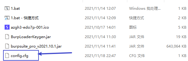 burpsuite最新版安装教程_肖萧然的博客-CSDN博客_burpsuite最新版