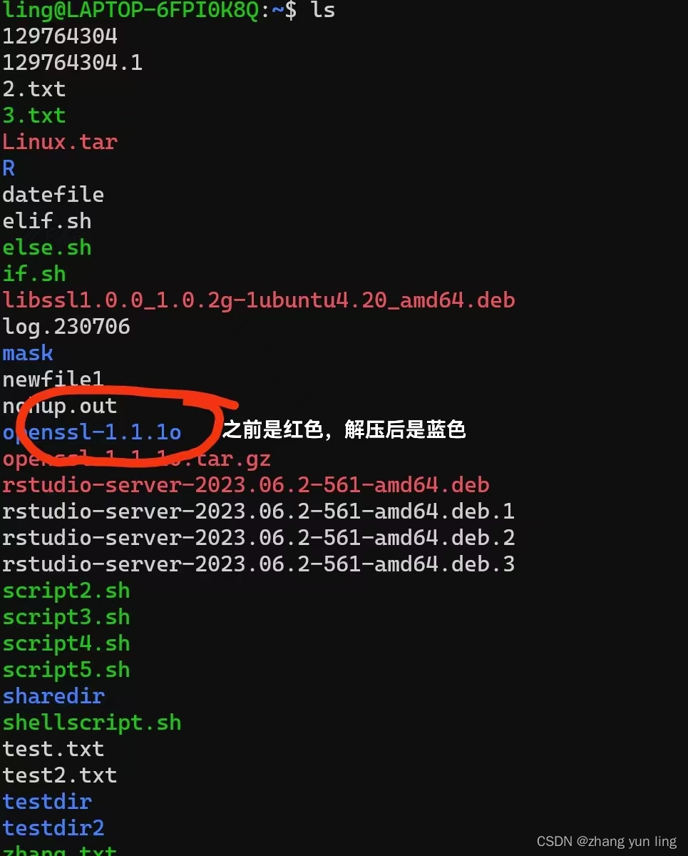 利用VirtualBox和Ubuntu启动Rstudio-server-CSDN博客