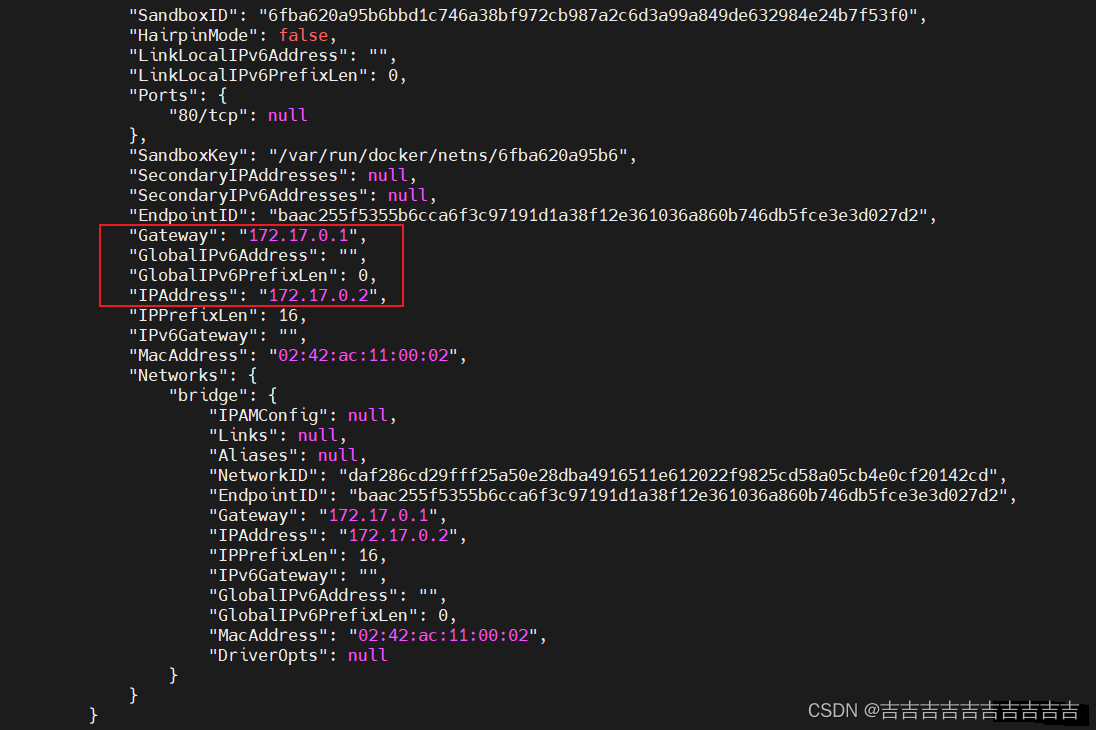 Docker容器之基础命令_docker查看nginx版本-CSDN博客