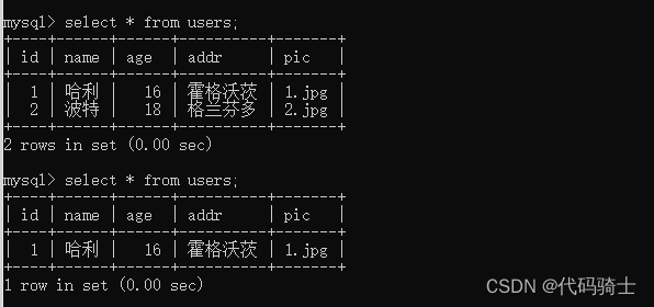 使用GORM操作数据库_gorm pgsql-CSDN博客