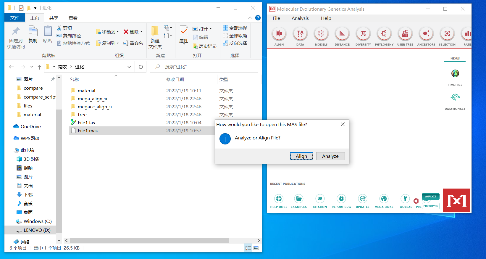 利用MEGA计算π值和Ka/Ks_mega 正选择ka ks-CSDN博客