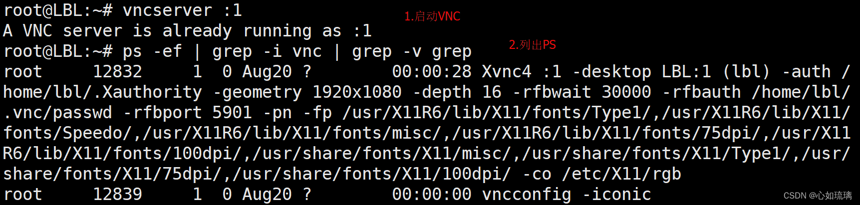 VNC启动出错的处理汇总_vnc启动失败-CSDN博客