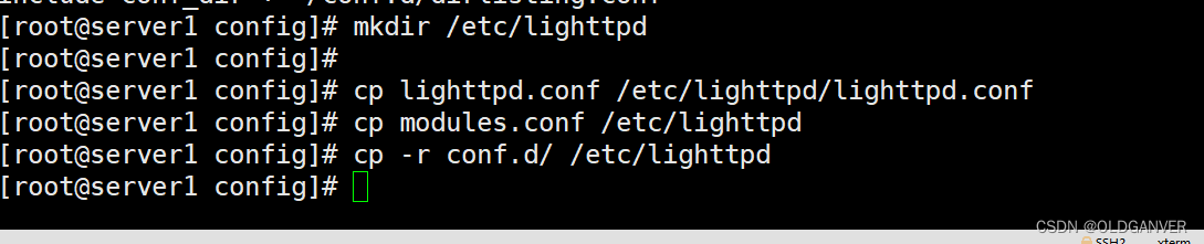 源码安装lighttpd并配置服务启动脚本-CSDN博客