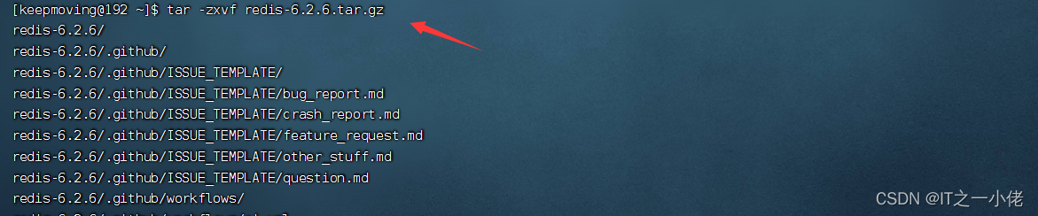 Centos7 安装Redis详细教程_centos7安装redis-CSDN博客