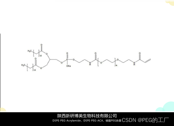 DSPE-PEG-Acrylamide，DSPE-PEG-ACA，磷脂PEG炔基磷脂PEG衍生物-CSDN博客