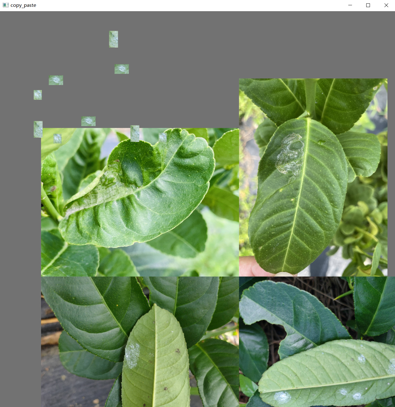 【copy_paste数据增强】_copypaste 小目标 python-CSDN博客