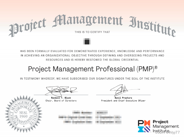 PMP是什么？_yy yy pmp-CSDN博客