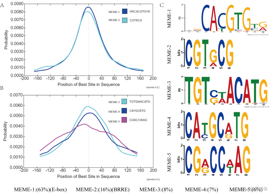 DAP-seq技术在GhBES1.4介导的BR对陆地棉纤维伸长调控网络研究中的应用 | DAP-seq 2022年发表Plant Physiology文章_seqbr-CSDN博客