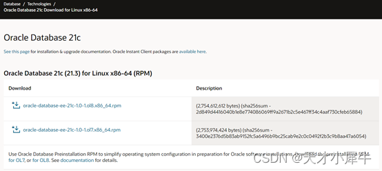 5. Oracle21c数据库通过RPM包在Linux系统上安装步骤_oracle rpm安装-CSDN博客