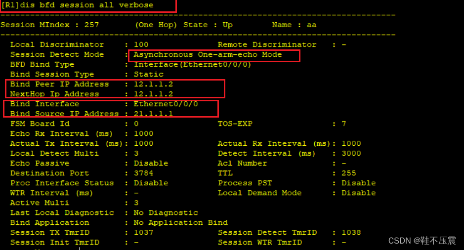 二十三、高级网络技术及应用——BFD解析_one-arm-echo-CSDN博客