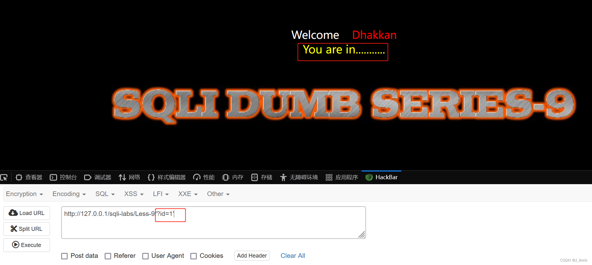sqli-labs:第九关_sqli-labs第九关-CSDN博客