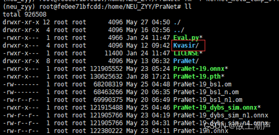 基于MindStudio对PraNet模型推理全流程_模型推理 每次开启关闭环境-CSDN博客