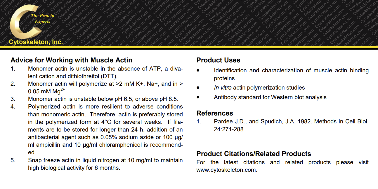 蛋白质实验（G-actin 聚集到 F-actin）_f-actin蛋白制备-CSDN博客