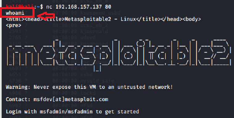 六、Kali Linux 2 远程控制_如何在kali linux2中启动主控端-CSDN博客