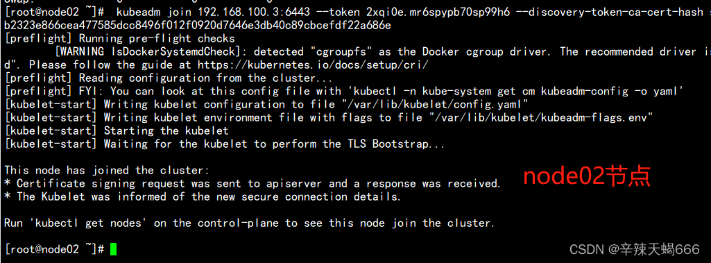 【云原生之k8s】Kubeadm搭建K8S_kubeadm imagerepository-CSDN博客