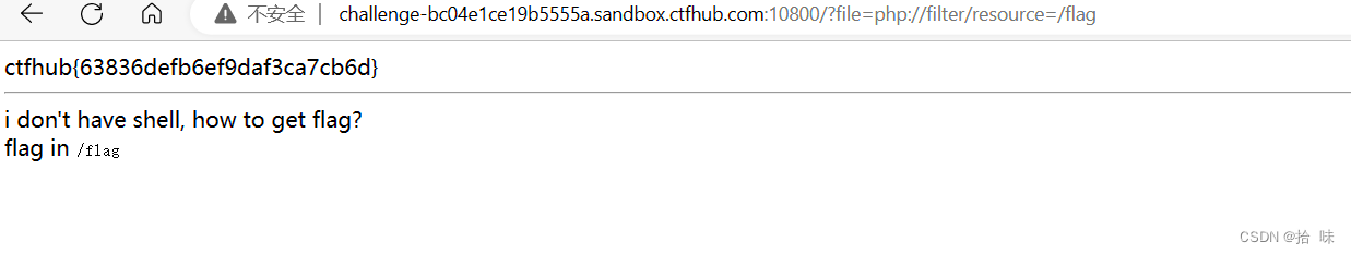 CTFHub 技能树 -RCE-CSDN博客