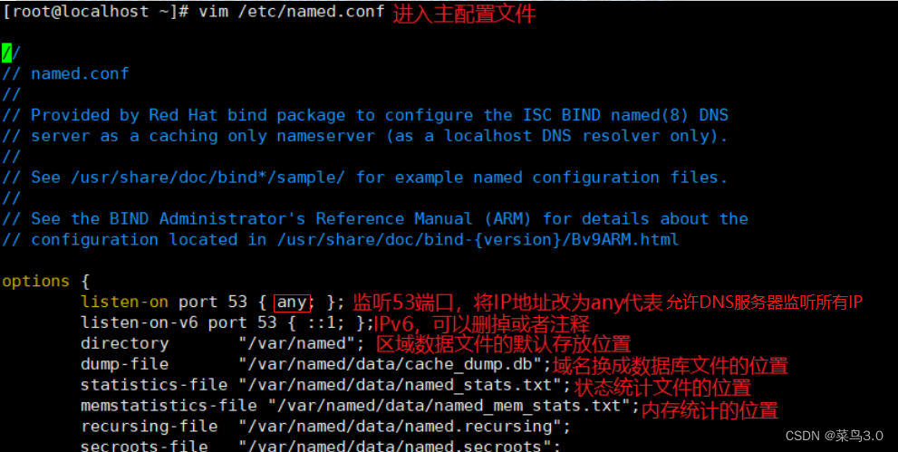 Linux中DNS域名解析服务_linux配置域名解析-CSDN博客