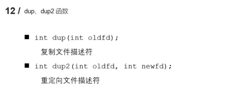 1.29dup、dup2函数_int dup2(int oldfd, int newfd);-CSDN博客