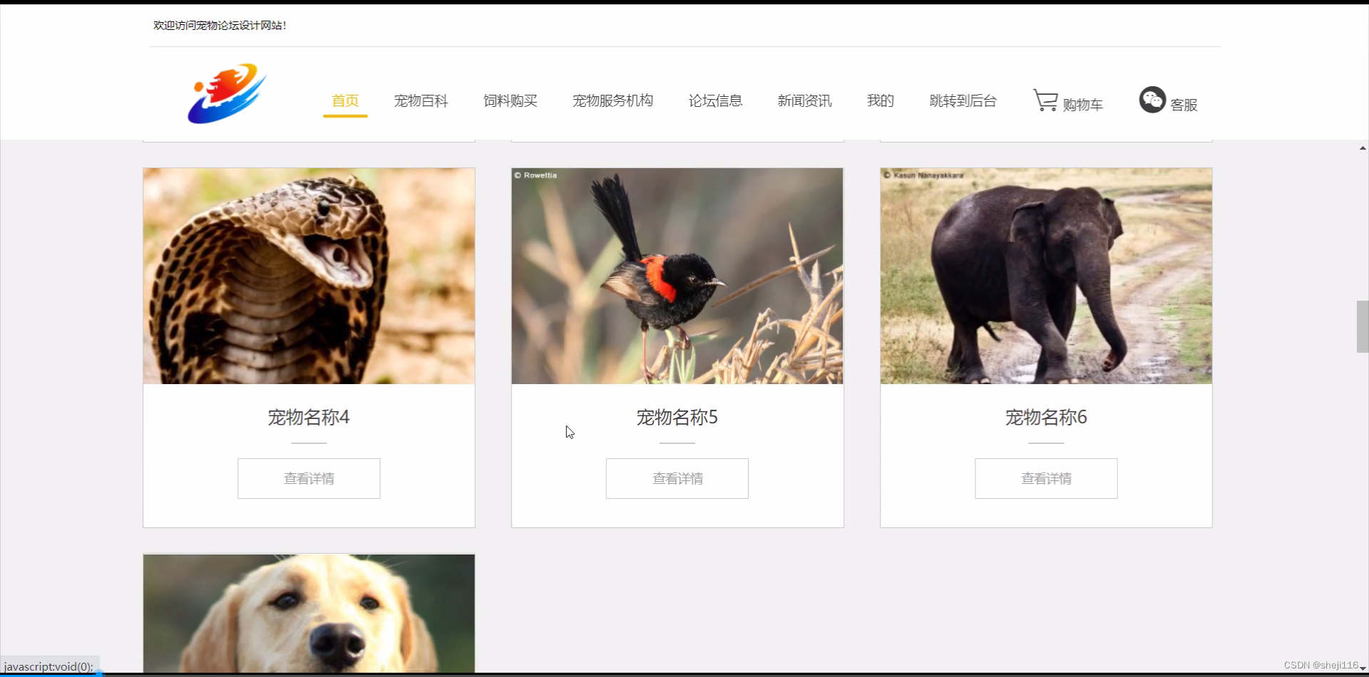 Java毕设项目宠物论坛设计网站测试视频2021计算机(附源码系统数据库lw)宠物论坛项目 Csdn博客