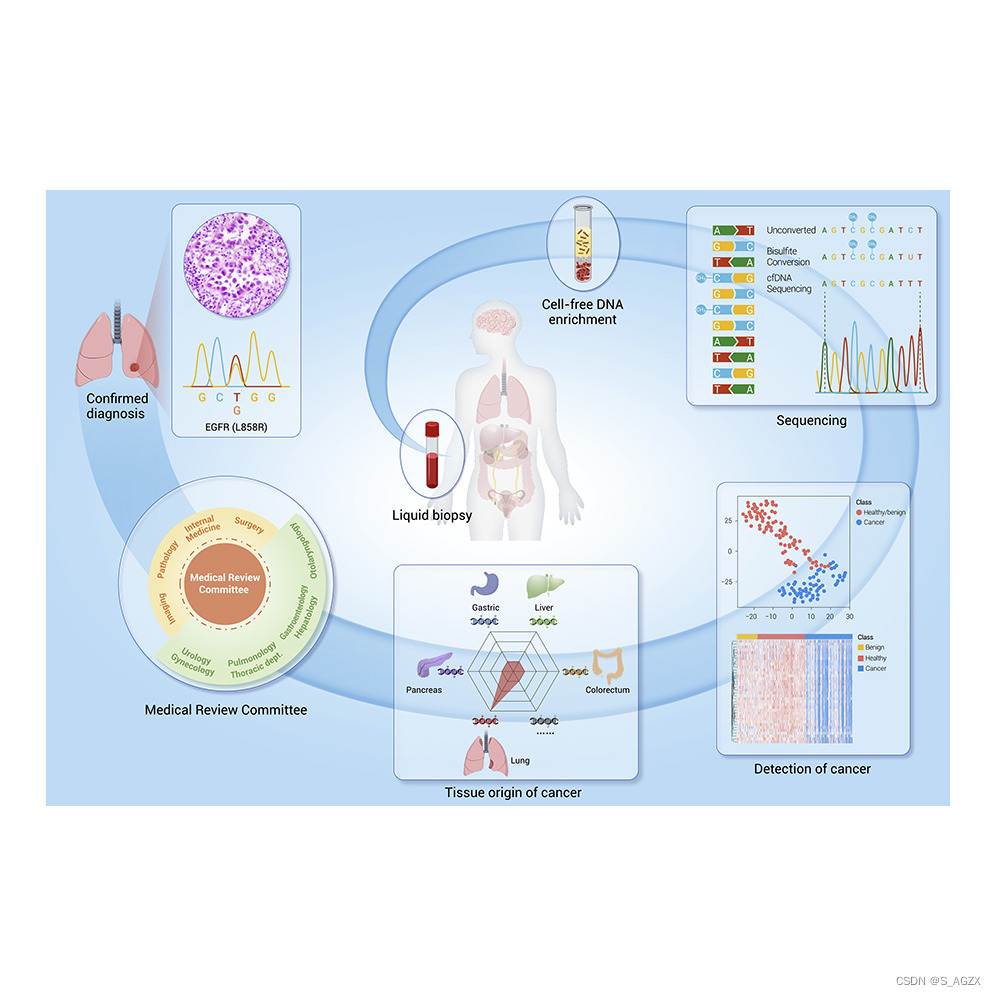 燃石早筛进展个人学习文章1-cfDNA液体活检早筛应用综述及PROMISE队列结果-CSDN博客